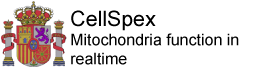 ≡